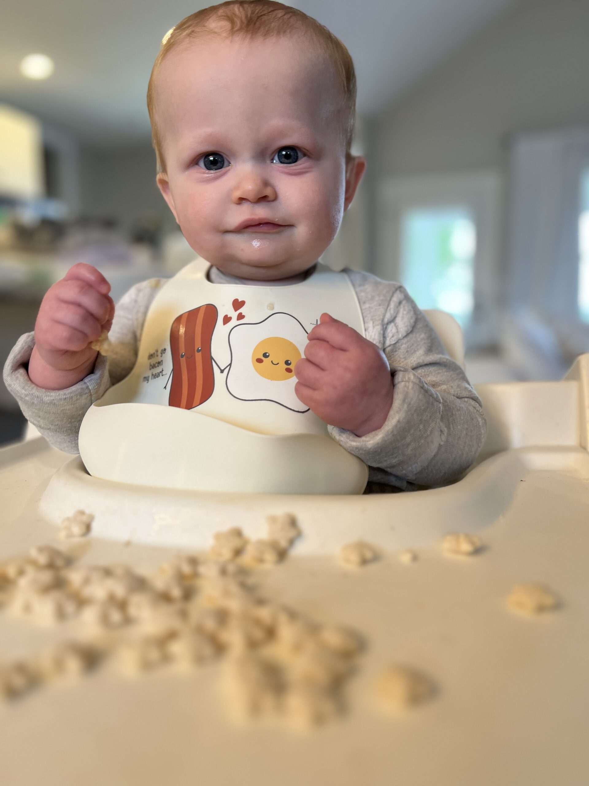 Life Update // What I’ve been doing lately – Sarah Elizabeth Ray