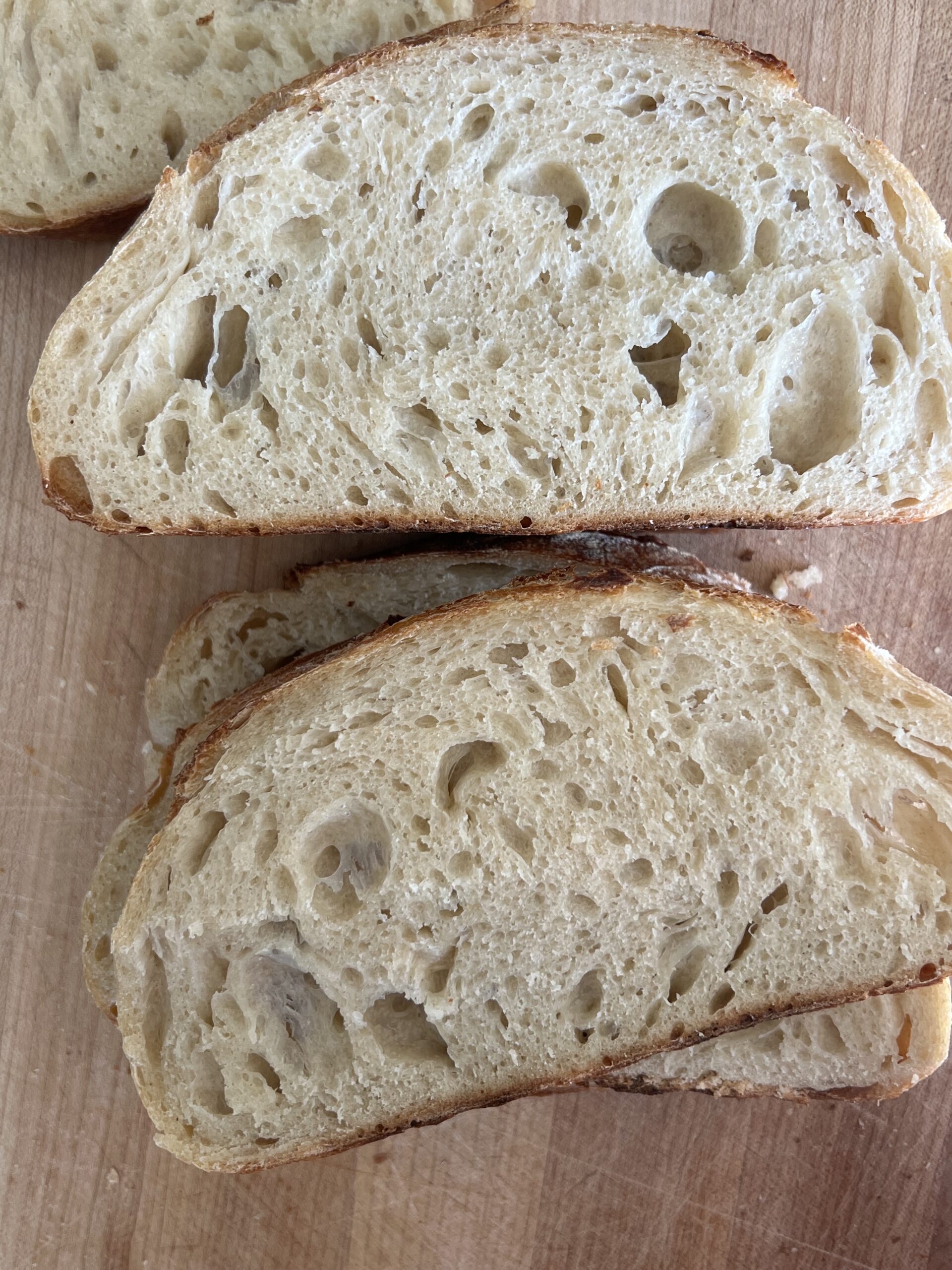 Orvil’s Famous Sourdough Starter // Recipe – Sarah Elizabeth Ray